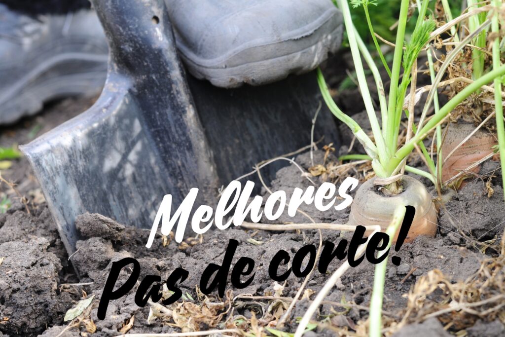 6 Melhores Marcas de Pá de Corte - Melhores Marcas